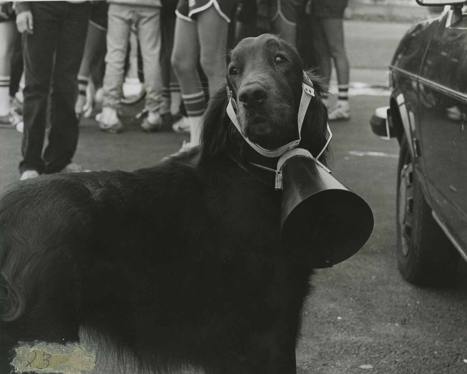 Making the Film | 100 Years of Tabor Crew Documentary